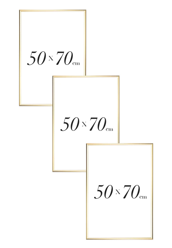 50x70cm Frames – GlamPosters