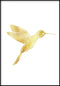 Hummingbird Real Gold Poster 50x70cm – GlamPosters