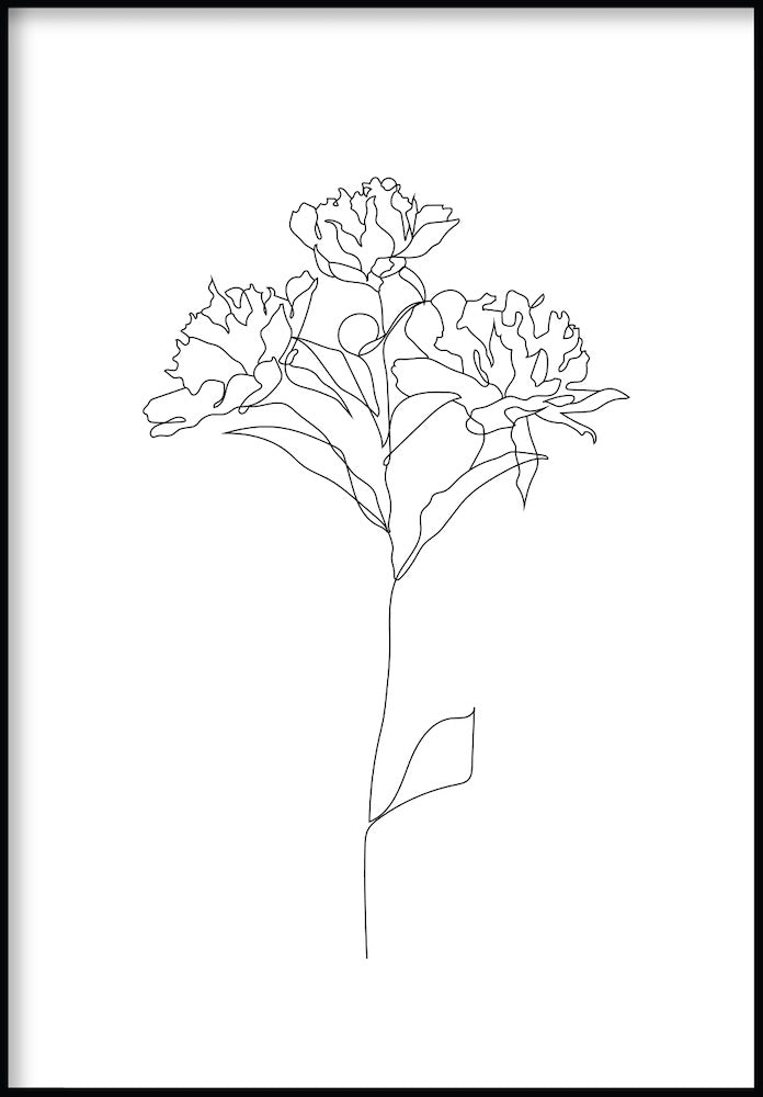 Roses Line Art Poster 50x70cm – GlamPosters